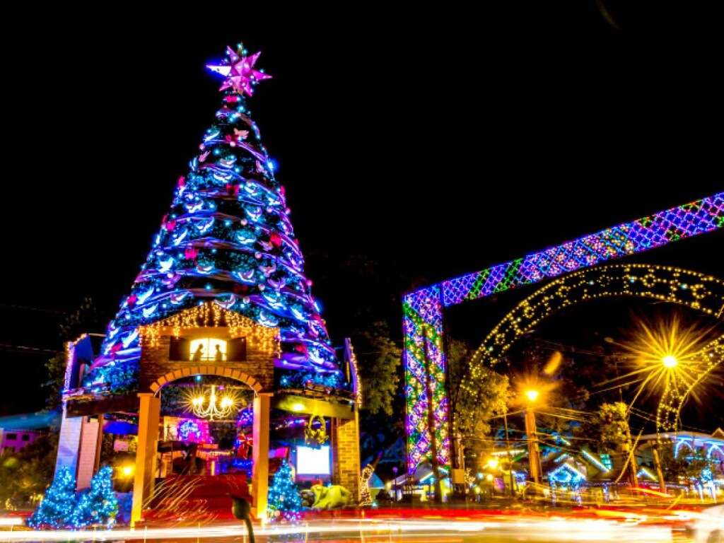 Árvores de Natal no Brasil: conheça as mais famosas